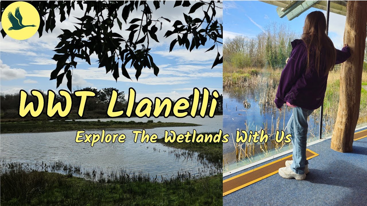 Home - The Rees Family Adventures