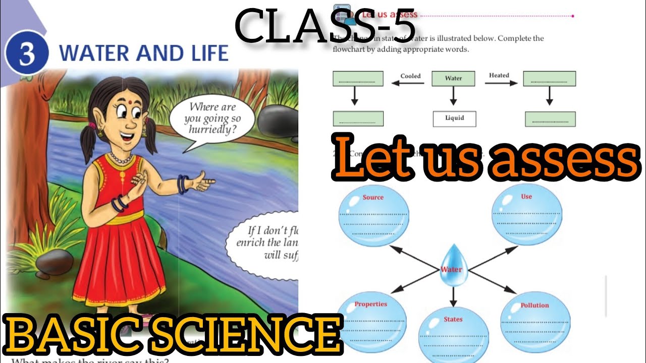 CLASS-5/ BASIC SCIENCE /CHAPTER -3/ LET US ASSESS/WATER AND LIFE/# STUDY TIME💯 - YouTube