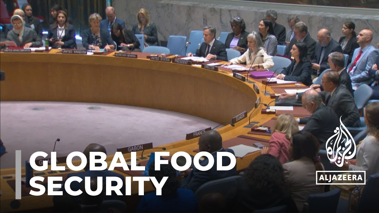 US and Russia trade barbs over food insecurity - YouTube