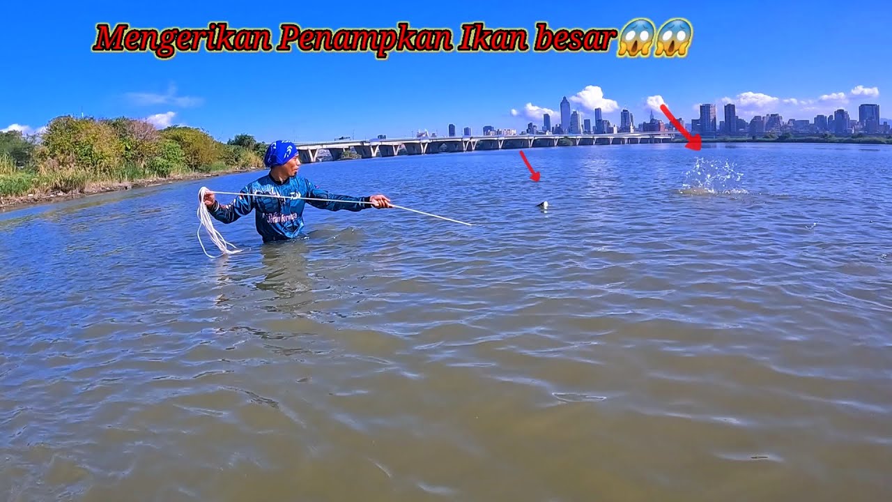 UGAL-UGALAN IKAN BELANAK DISINI!!MENJALA IKAN DIMUARA DAPAT BANYAK IKAN ...