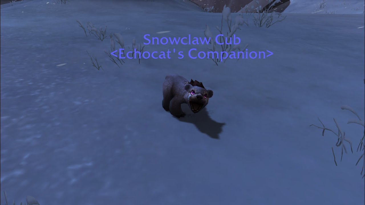 wow how to get snowclaw cub pet - YouTube