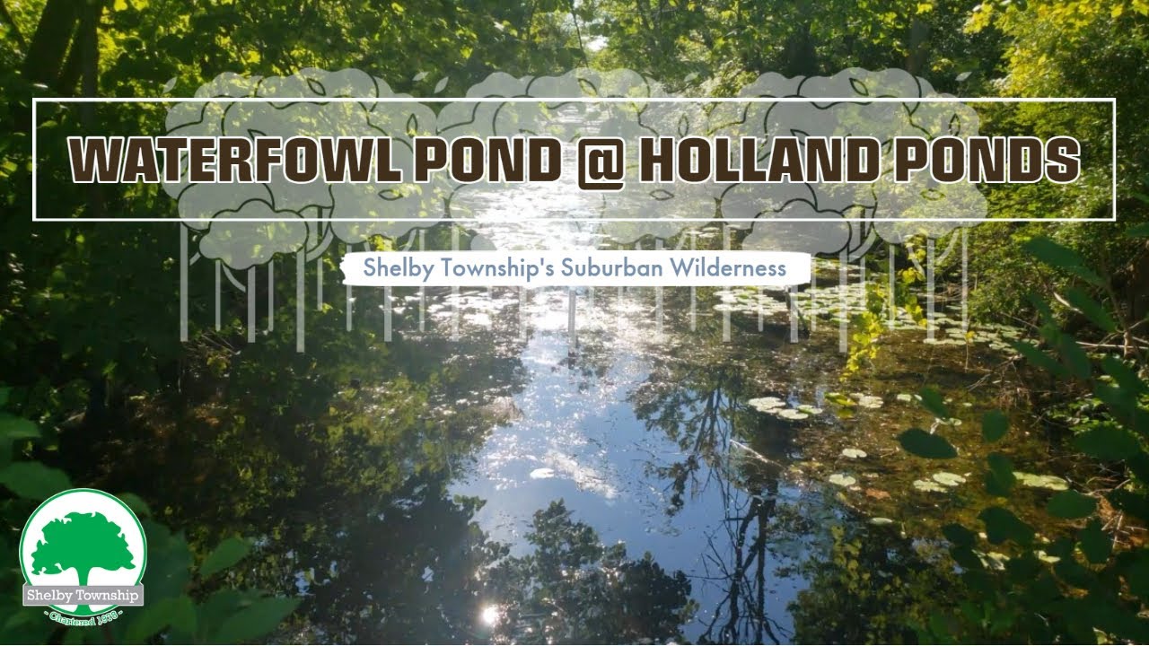 Hike to the waterfowl pond at Shelby Township's Holland Ponds Park ...