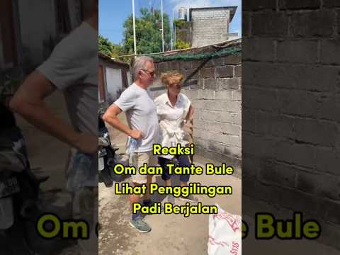 REAKSI OM DAN TANTE BULE LIHAT PENGGILINGAN PADI #lucu #bule #indonesia #reaksibule #funny