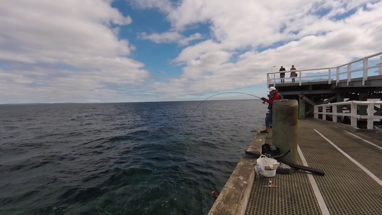 西澳釣行巧遇澳洲鮭魚 Fishing in Busselton Jetty - YouTube