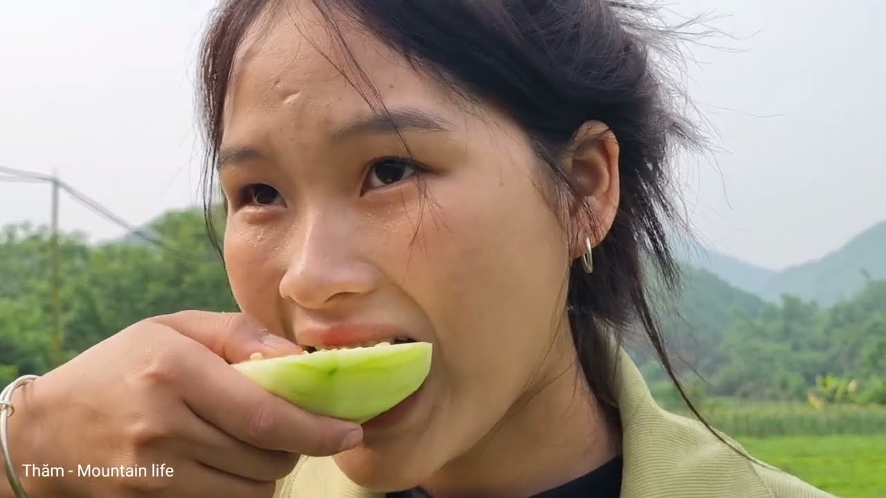 The girl harvested melons and squash to sell at the market and support ...