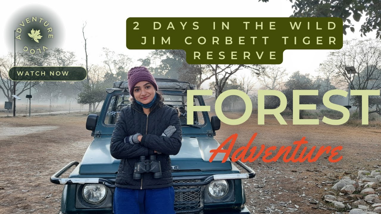 2 days perfect itinerary to explore JIM Corbett | Jim corbett national ...