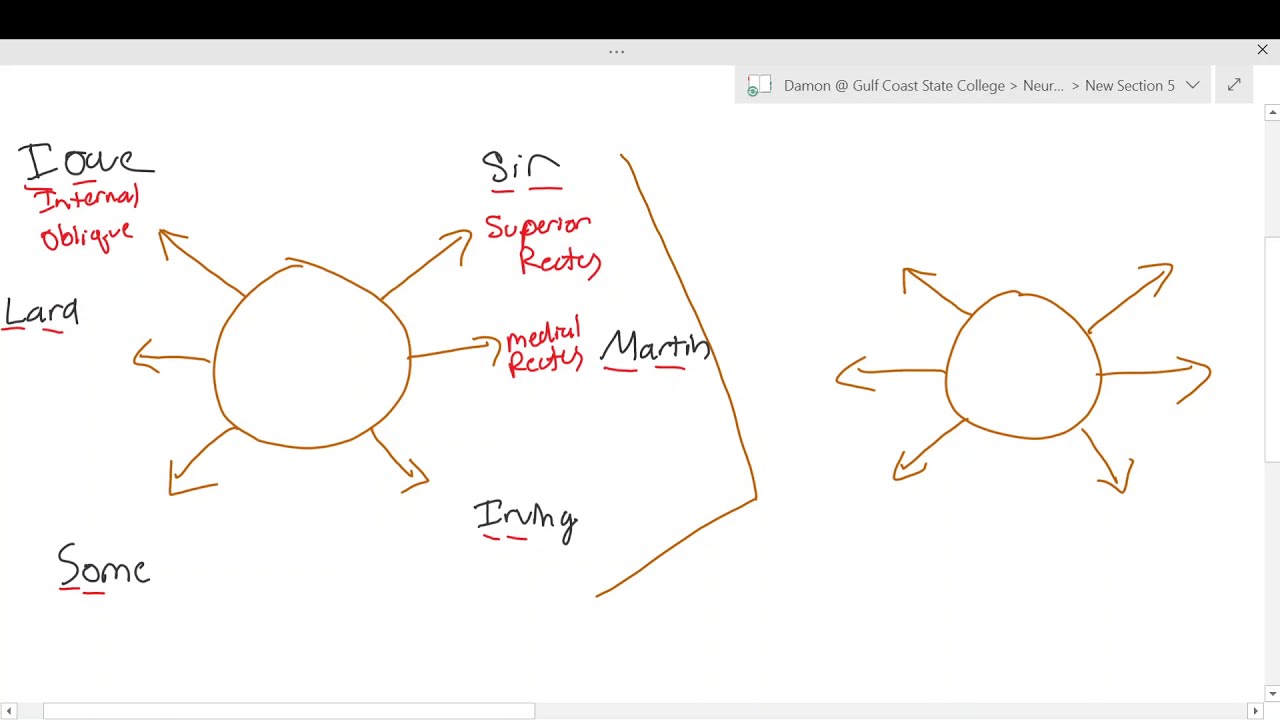 Mnemonic for the eye muscles - YouTube