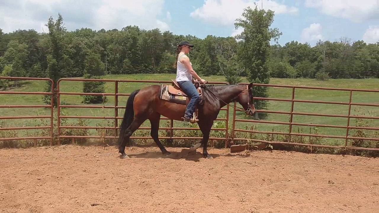 Bailey 5 Rides - YouTube