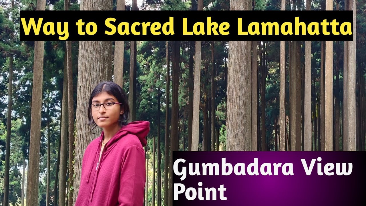 Lamahata eco park 23।।Peshok tea garden।Gumbadara view point - YouTube