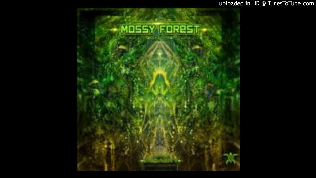 Paul Karma - Ghosts-Mermaids & Pirates - YouTube