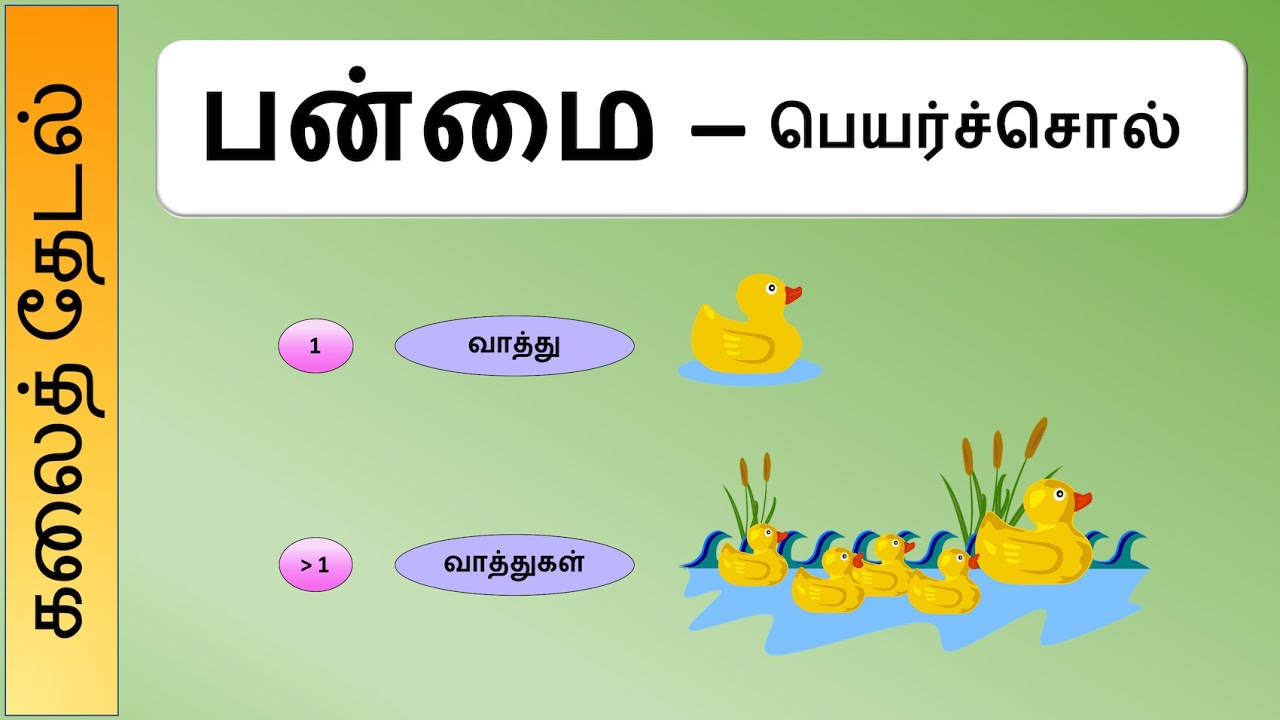  Plural Noun In Tamil Kalai Thedal