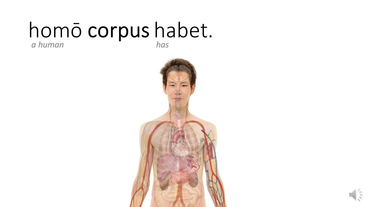 Corpus I - The Body Part 1 in Latin - YouTube