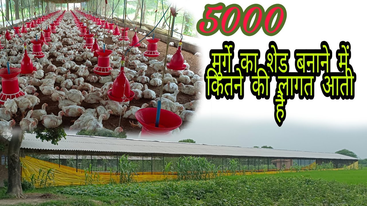 223×27ft New Poultry farm construction|| 5000 मुर्गे का फॉर्म बनाने में ...