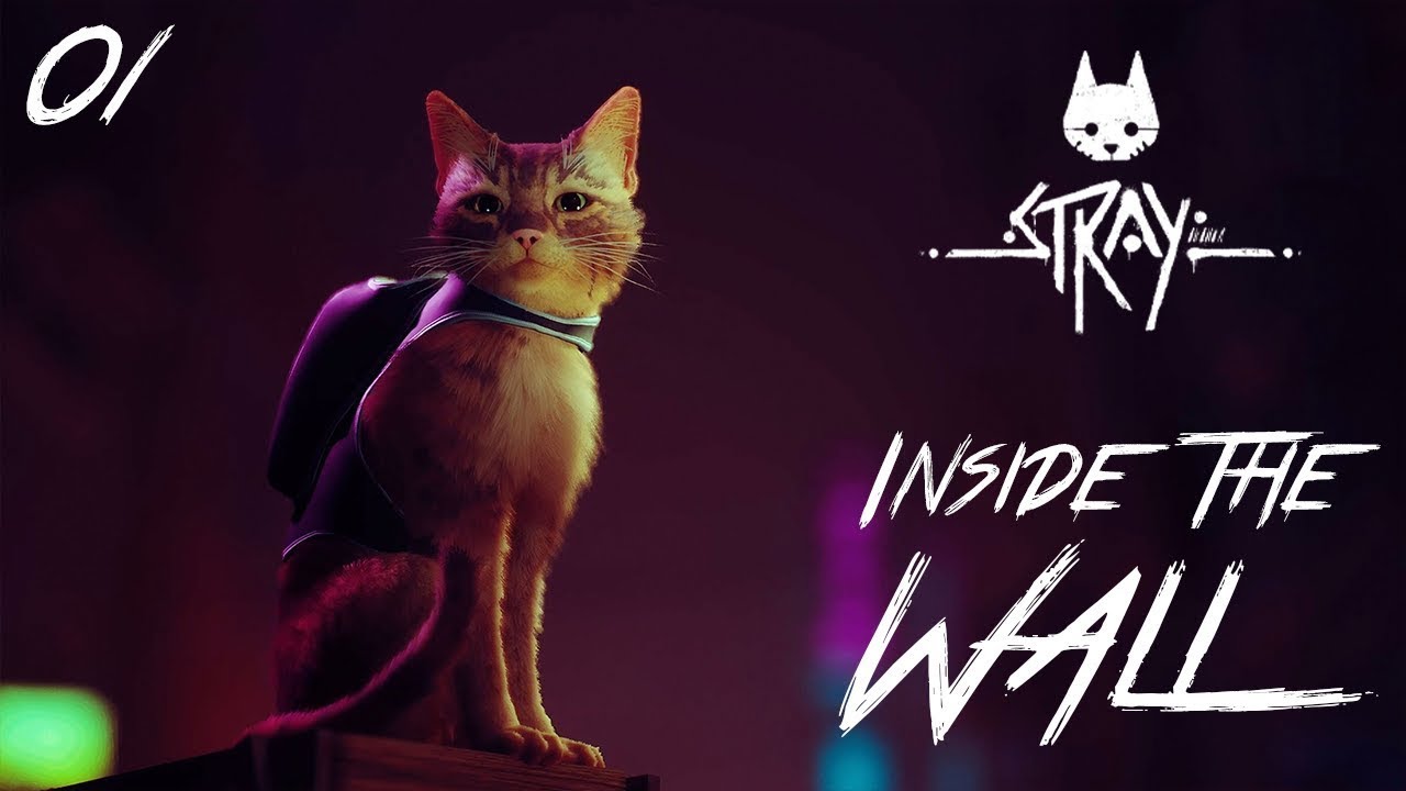 stray gameplay #1 walkthrough(inside the wall) #stray #gameplay - YouTube