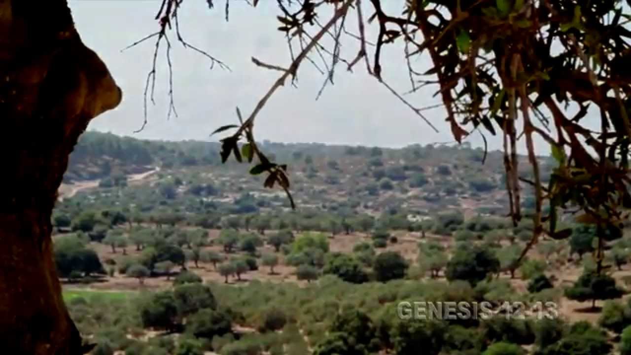 Israel Indivisible _ trailer 2014-HD - YouTube