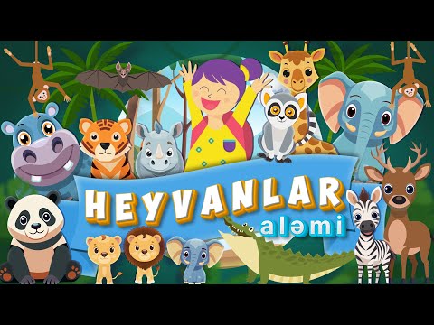 Heyvanlar Aləmi 🐶🐘🦁 | Heyvanlar Aləmini Kəşf Edək! | Uşaqlar üçün Maraqlı və Öyrədici Video