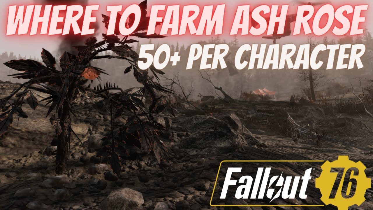 Fallout 76 Where to Farm Ash Rose | Best Farming Route 2024 - YouTube