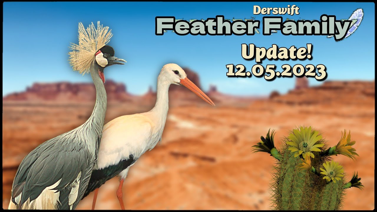 Feather Family - Update: crane and stork skins, and more... - YouTube
