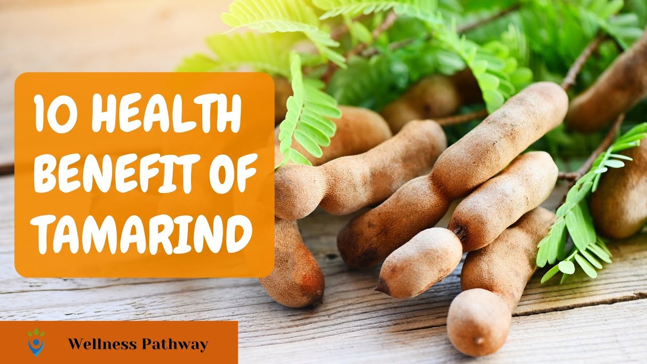 Health Benefit Of Tamarind - Wellness Pathway - YouTube