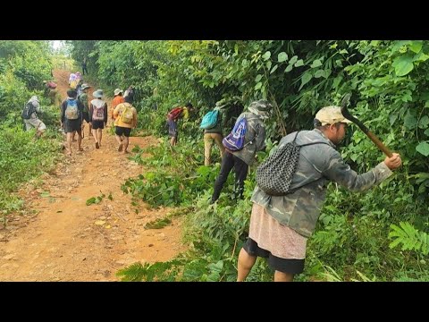 hnub no peb sib luaj peb txoj kev mus pem teb.15/10/2024 - YouTube