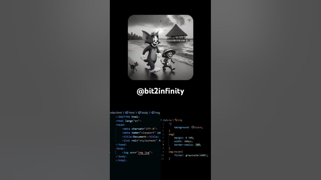Image Filter In Css By Bit2infinity Coding Css Filters Animation Trendingshorts