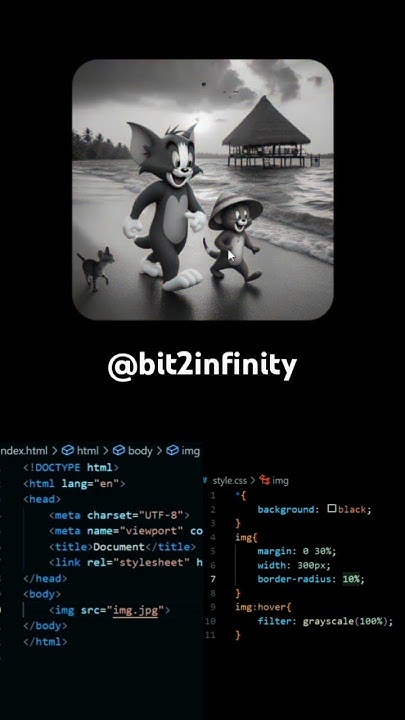 Image Filter In Css By Bit2infinity Coding Css Filters Animation Trendingshorts