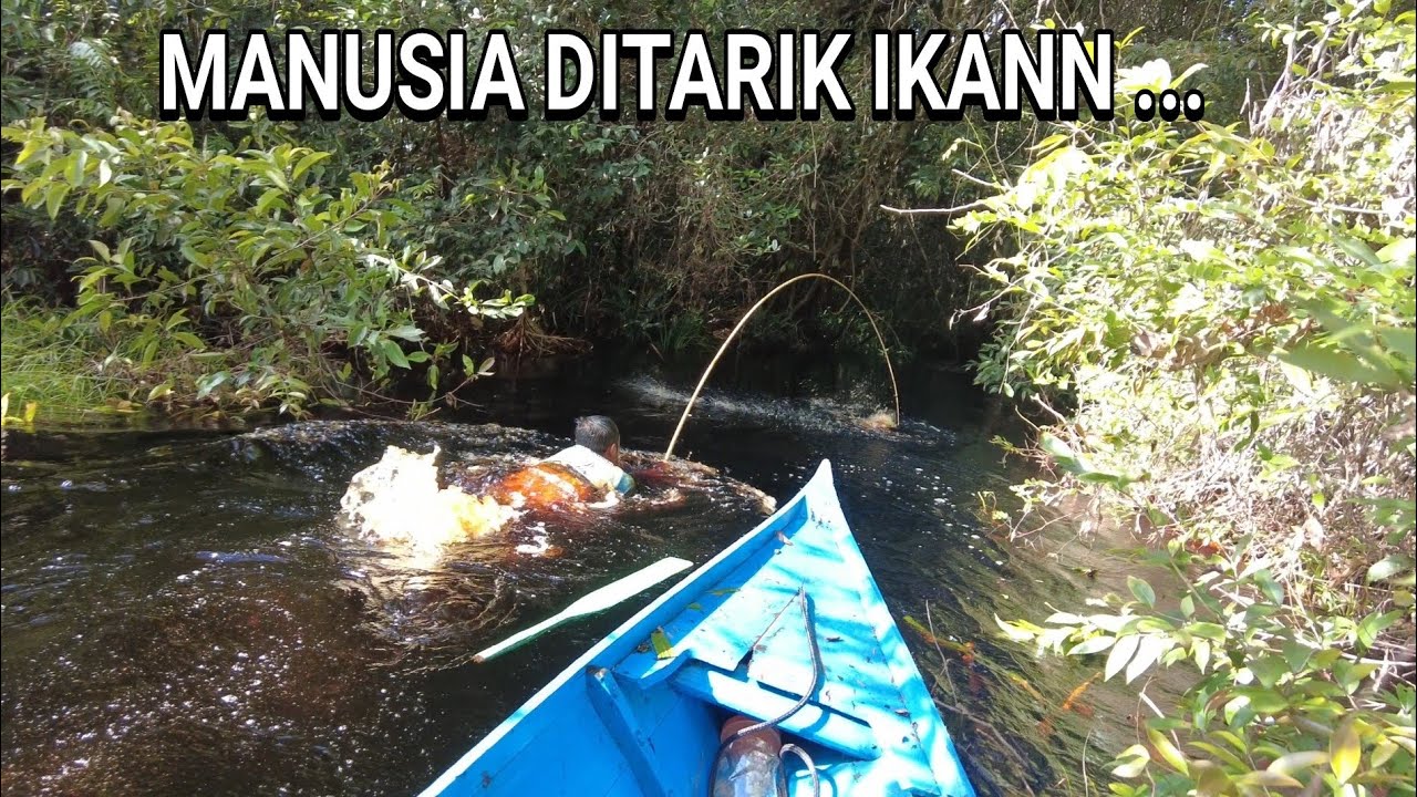 MANG DIMAN AKHIRNYA TUMBANG ...😰😰... - YouTube