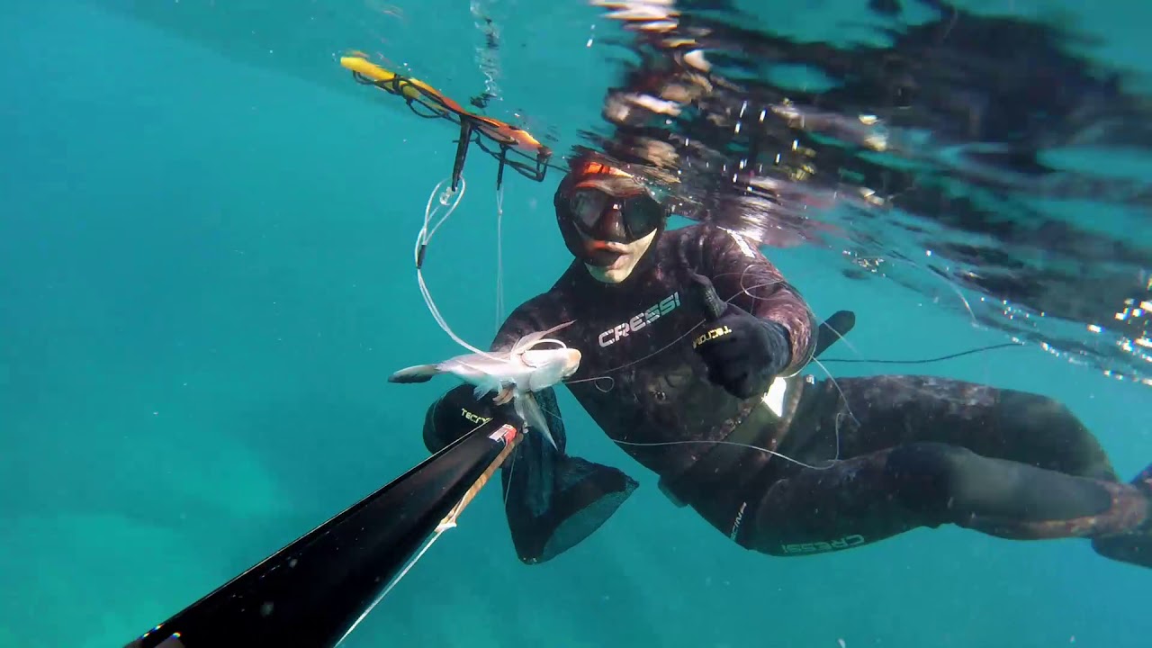 Spearfishing HD - YouTube
