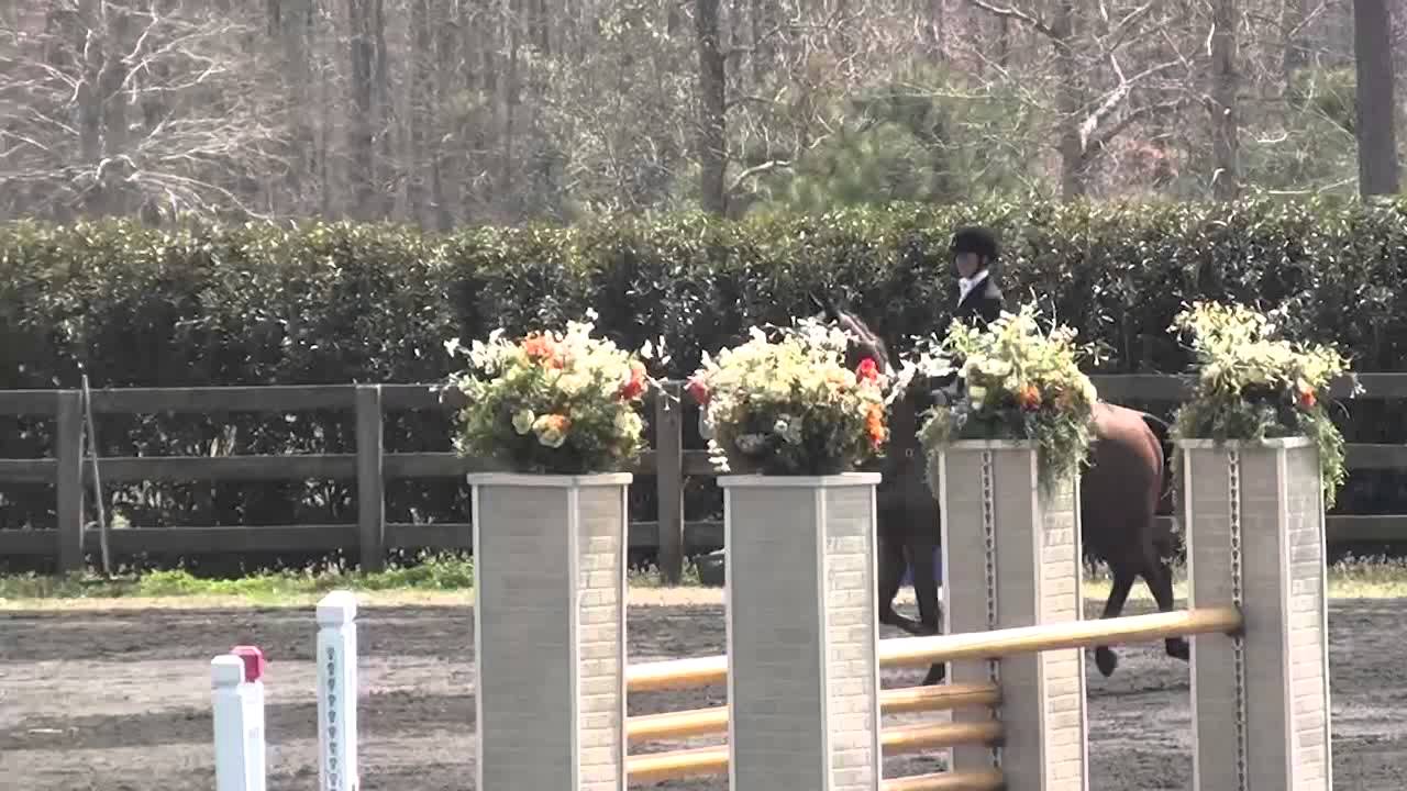Janelle Phaneuf & Irish Ike at Poplar Place Farm March Horse Trials ...