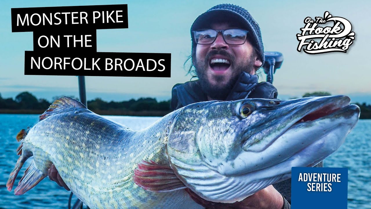 Monster 20lb Pike caught on the Norfolk Broads. - YouTube