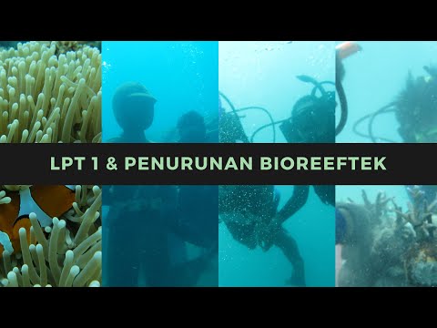Bioreeftek Universitas Hang Tuah Diving Center