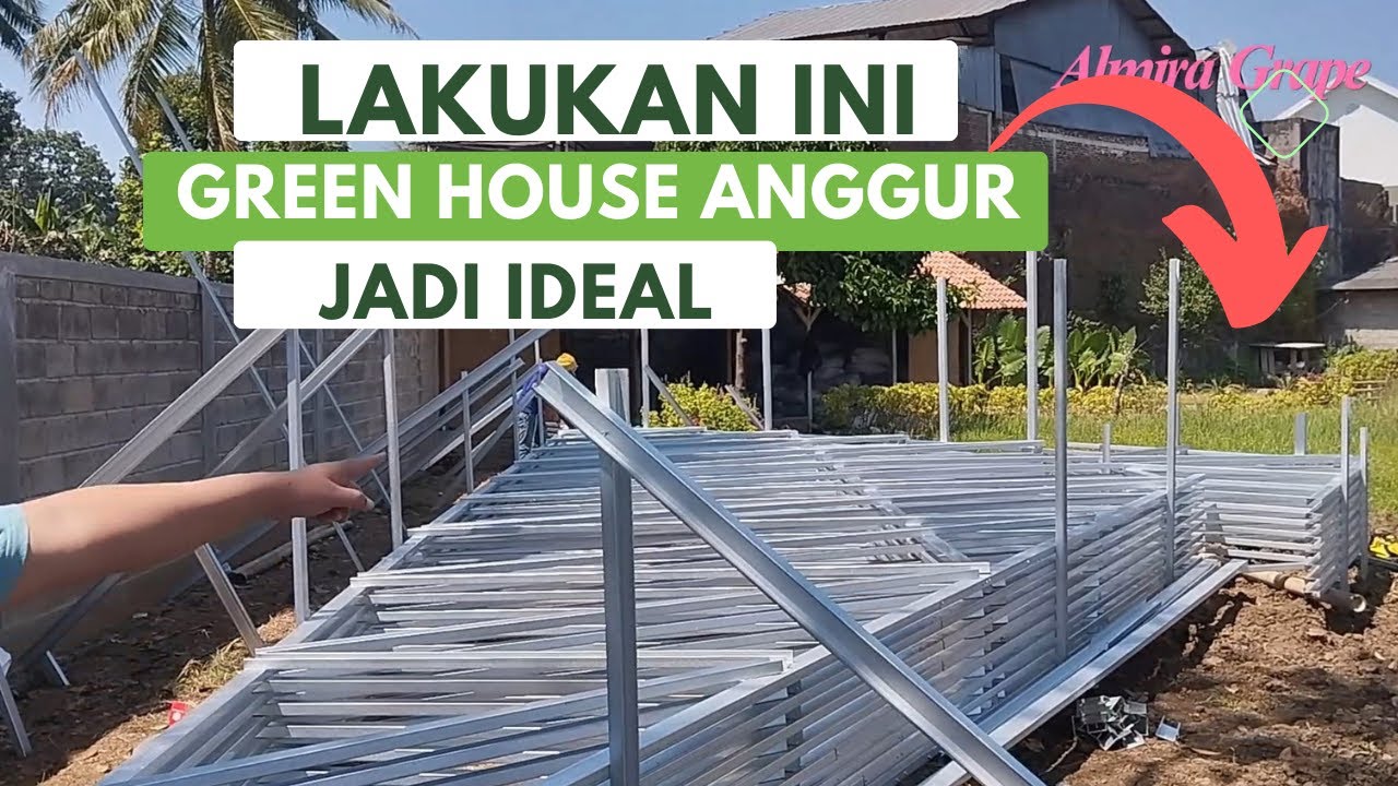 Tips Membuat Green House Anggur Yang Ideal - YouTube