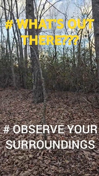 # OBSERVE YOUR SURROUNDINGS! - YouTube