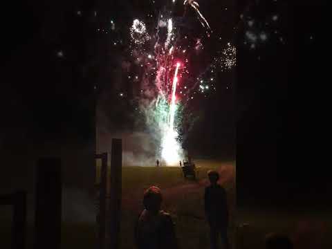 BHF bug firework display - YouTube