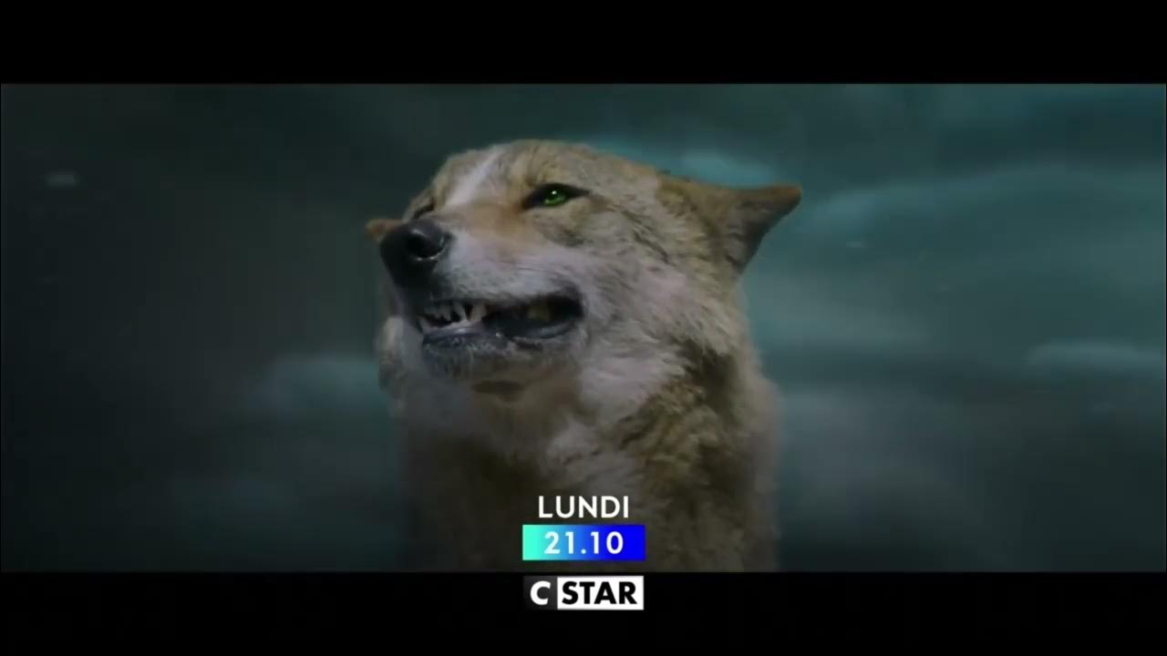La bande annonce de Cstar : Vendredi 28 avril 2023 - YouTube