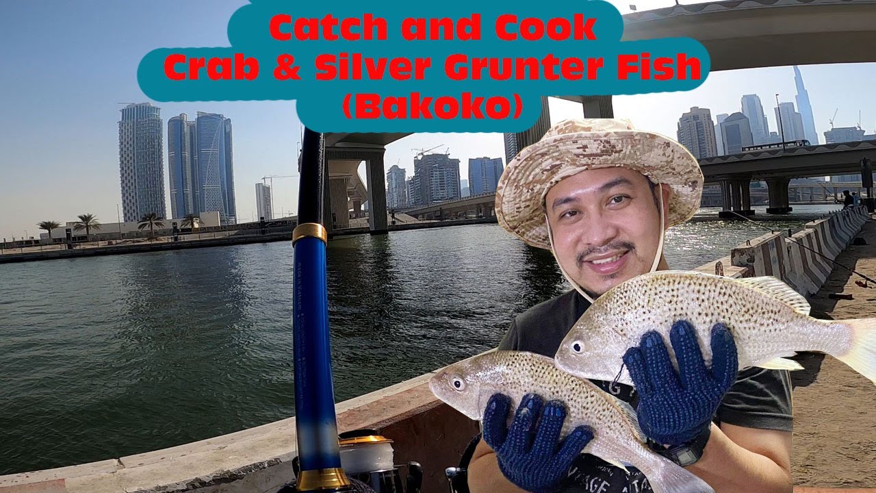 EP14 - PART 1 CATCH AND COOK | CRAB AND SILVER GRUNTER (BAKOKO) FISH ...