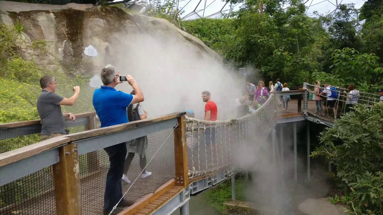 What is at Eden Project - Cloud Bridge - YouTube