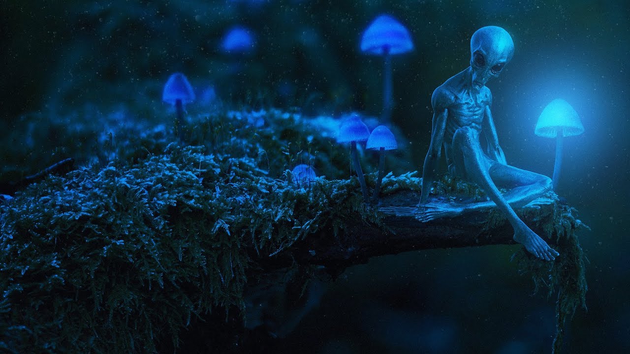 ૐ PSY Trance ૐ Alien Conspiration /TOP 2018 #3 - YouTube
