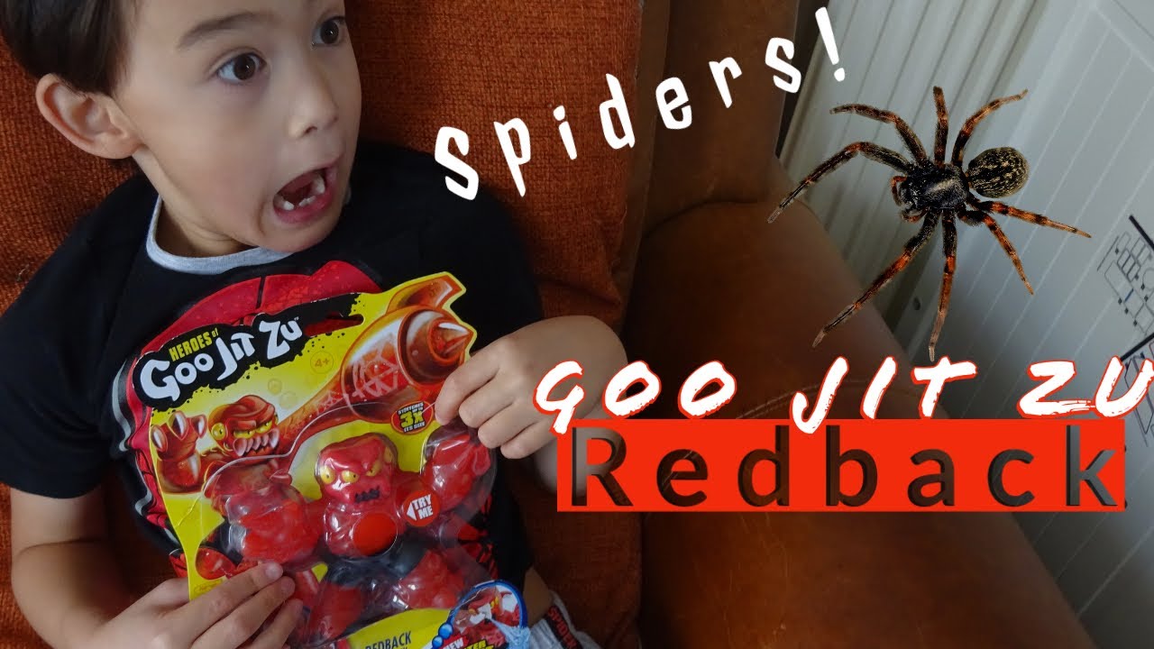 GOO JIT ZU Redback SCARY SPIDERS IN THE HOUSE! Part 1 #spiders # ...