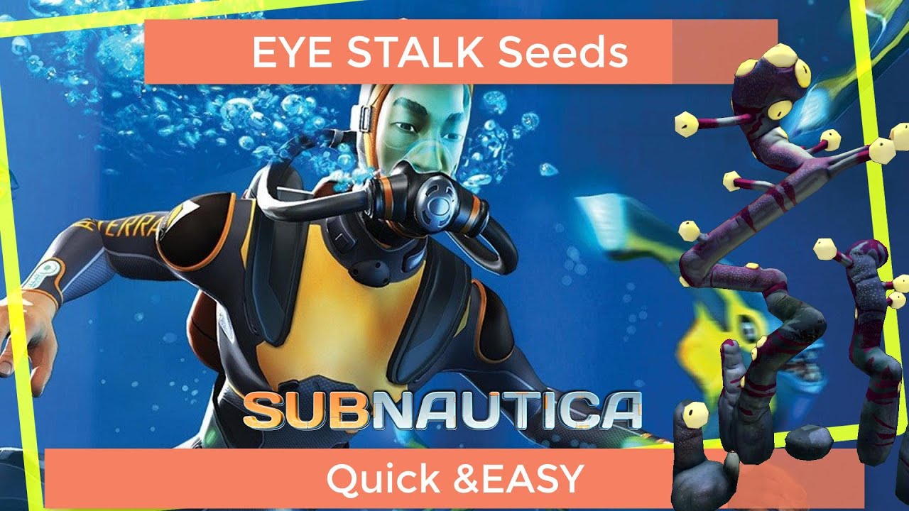 How to find Eye Stalk Seed Quick and Easy guide // Subnautica Beginners ...