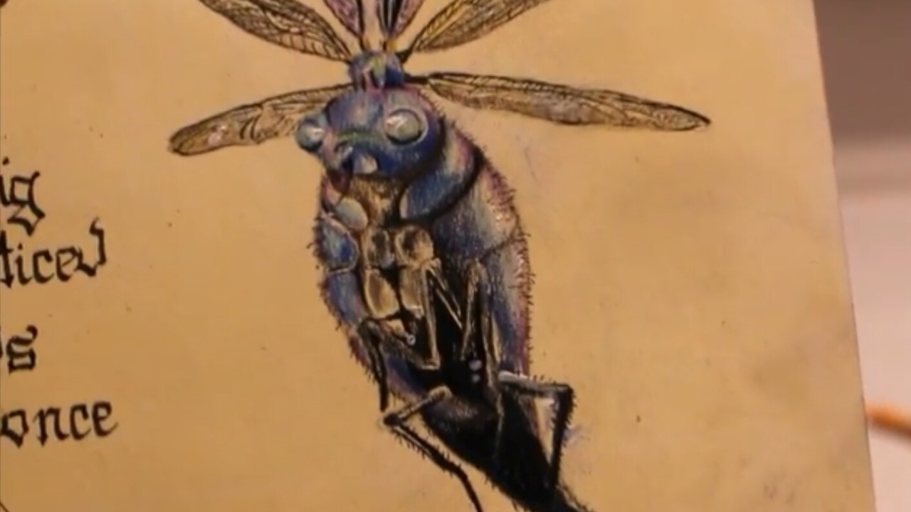 Speed Drawing: Billywig from FANTASTIC BEASTS - YouTube