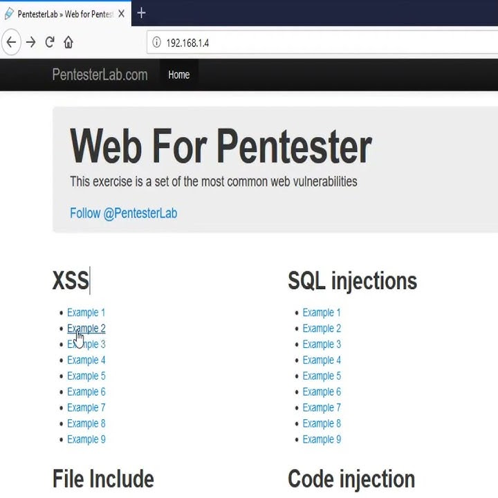 Web For Pentester | PentesterLab XSS: Example 2 | Cyber Security - YouTube