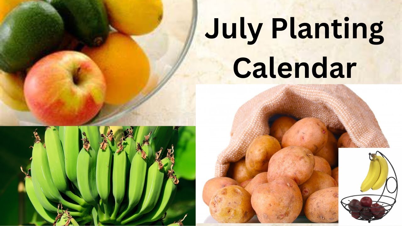 July Gardening calendar | Organic Gardening | Vegetable Gardening - YouTube