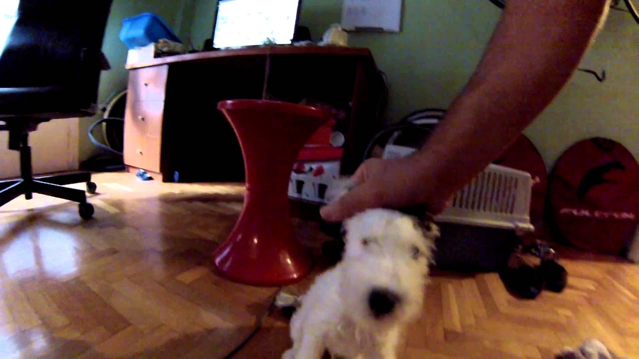 trying menios training using the go pro camera - YouTube