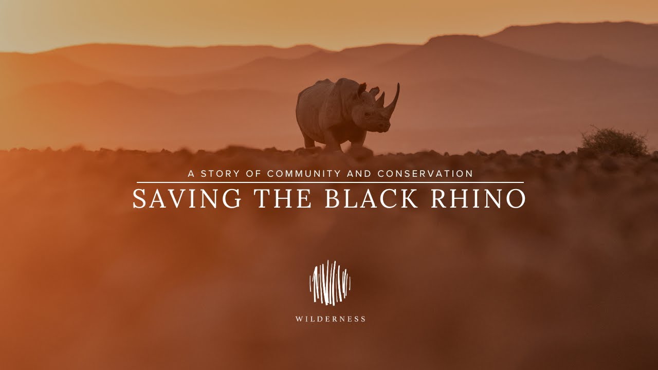 Wilderness & Save the Rhino Trust: A Story of Community and ...