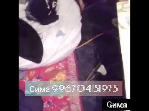 Жардам керек т-н, ватсаб  0704 15 1975