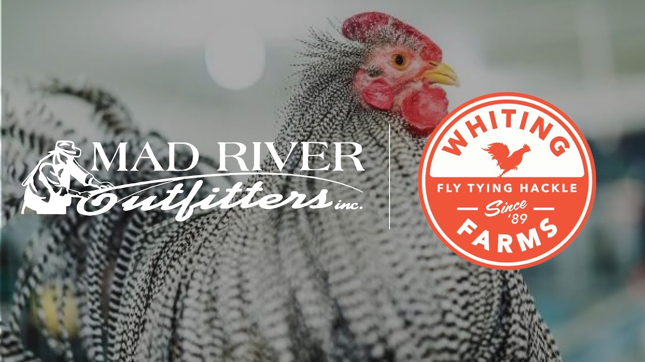 Live Fly Tying with Whiting Farms - YouTube