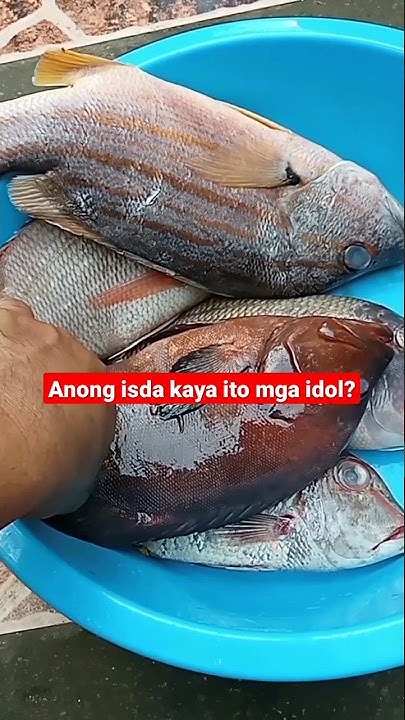 Anong isda kaya ito mga idol?nahuli namin kagabi ang lalaki...#shorts - YouTube