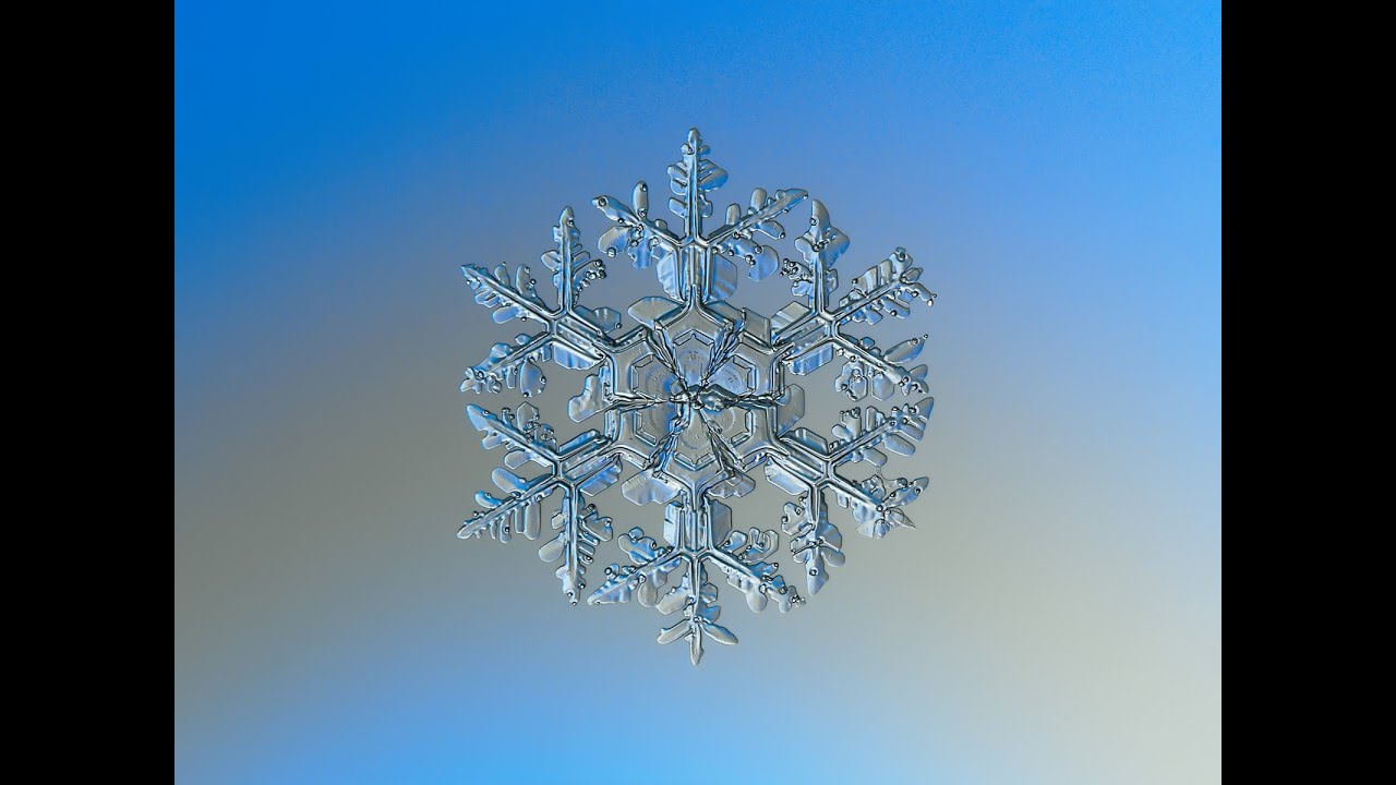 AVS Winter Recital 2020 - YouTube