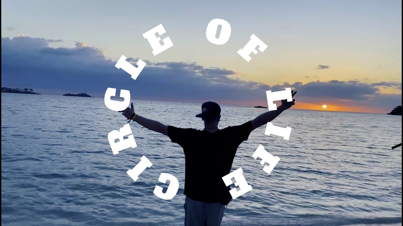 Planet Haych - Circle Of Life (OFFICIAL MUSIC VIDEO) - YouTube